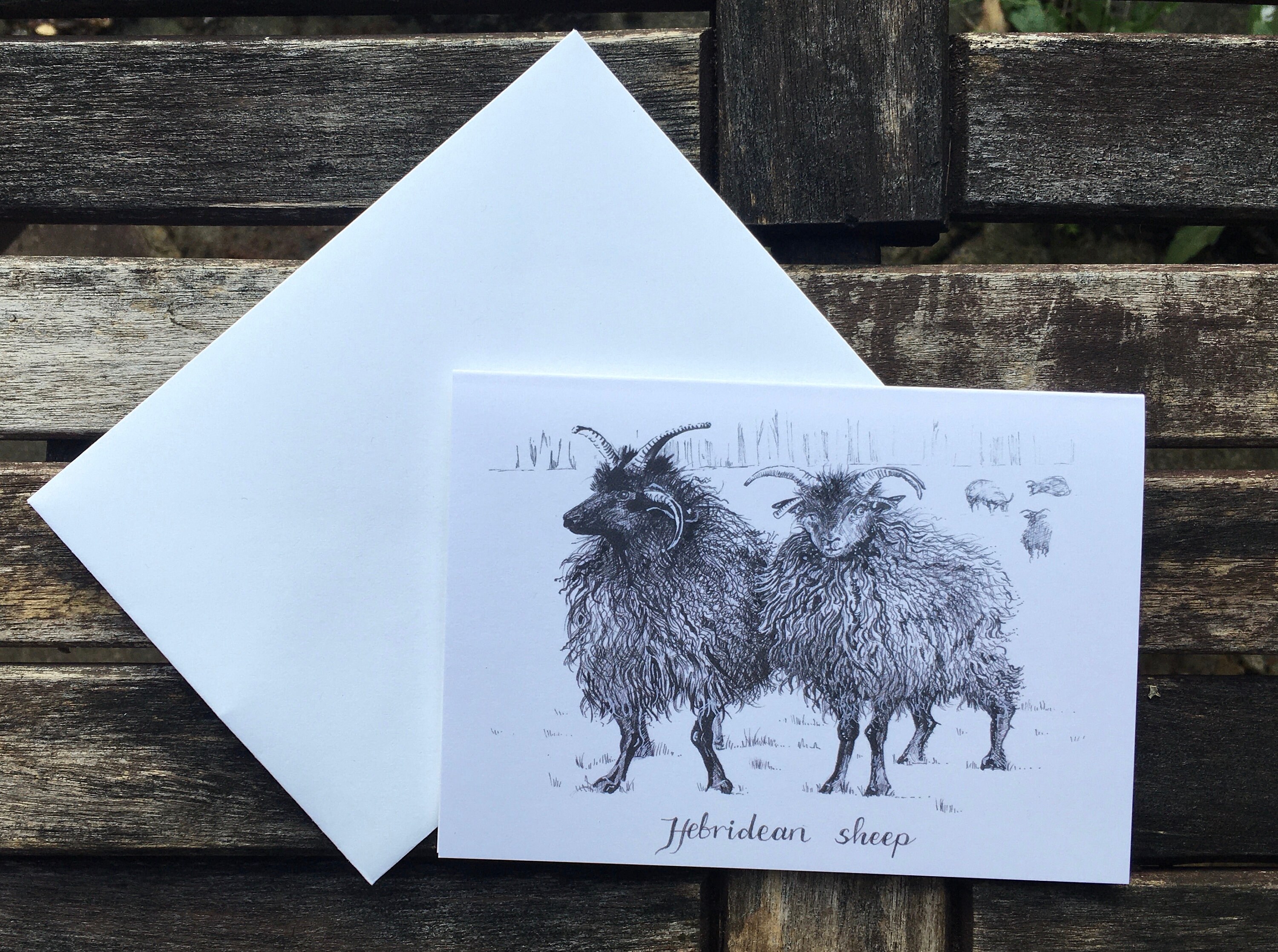 Paper & Party Supplies Paper Hebridean Sheep Greeting Card Greeting ...
