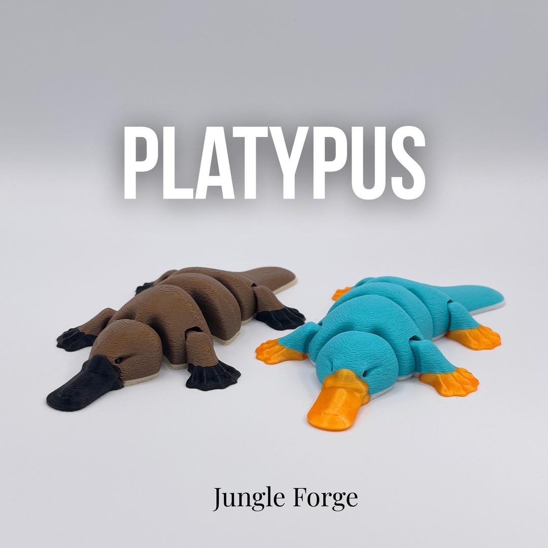Articulated Platypus – Fidget Toy | 3D Printed Gift | Two Color Options ...