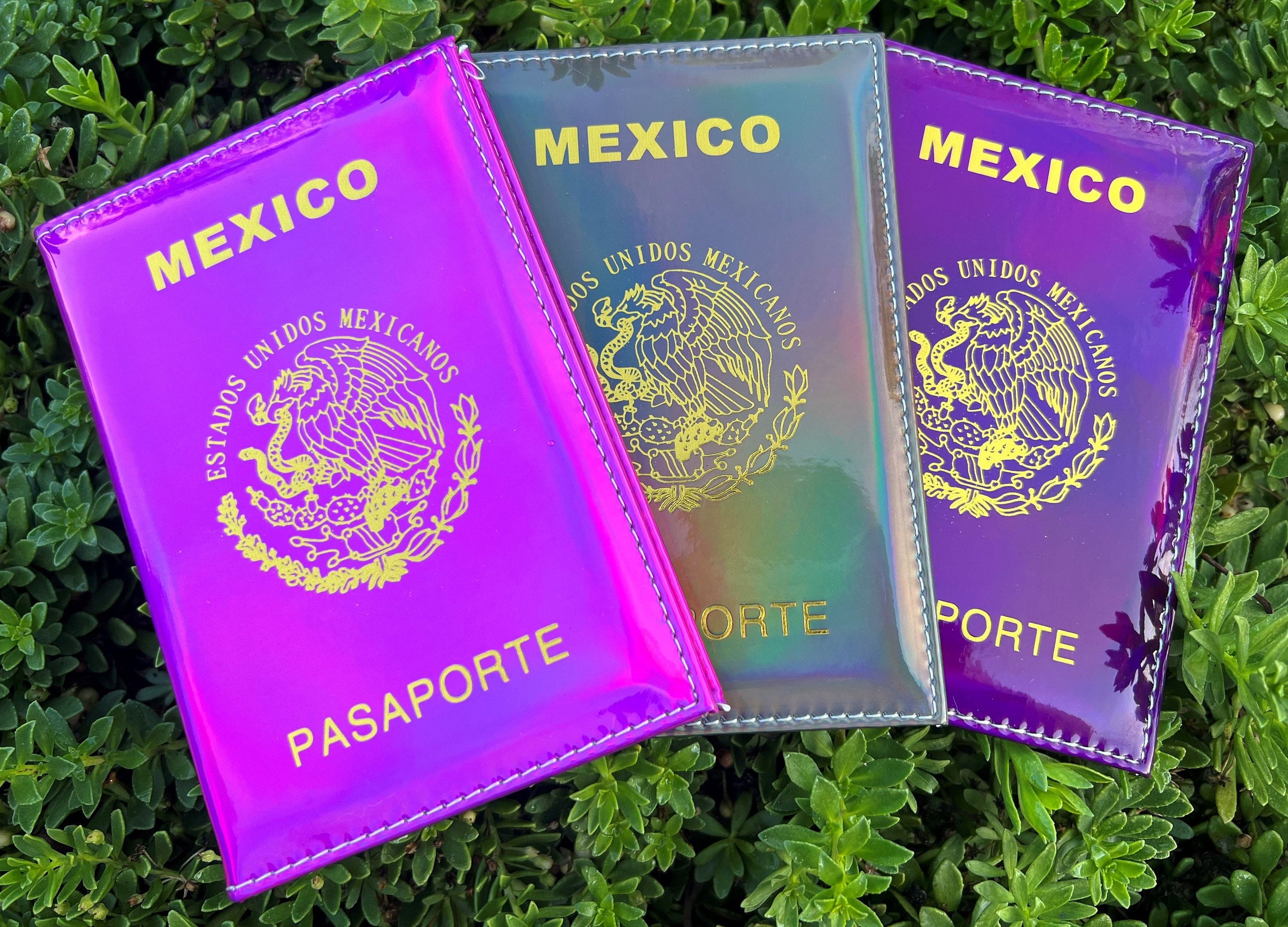 Mexico Passport Cover Vaccination Card Holder Chrome Hologram - Etsy
