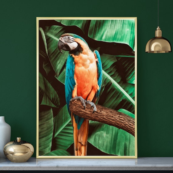 Parrot Print Tropical Print Parrot Poster Parrot Art Palm | Etsy