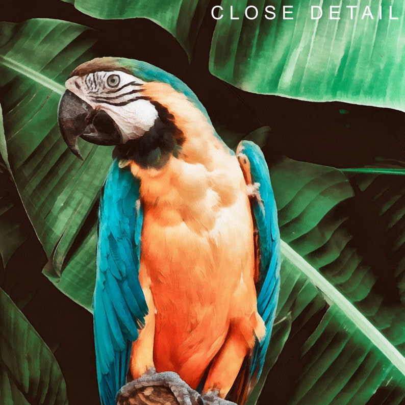 Parrot Print Tropical Print Parrot Poster Parrot Art Palm | Etsy
