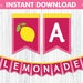 Printable Lemonade Stand Banner Pink Lemonade Party Theme - Etsy