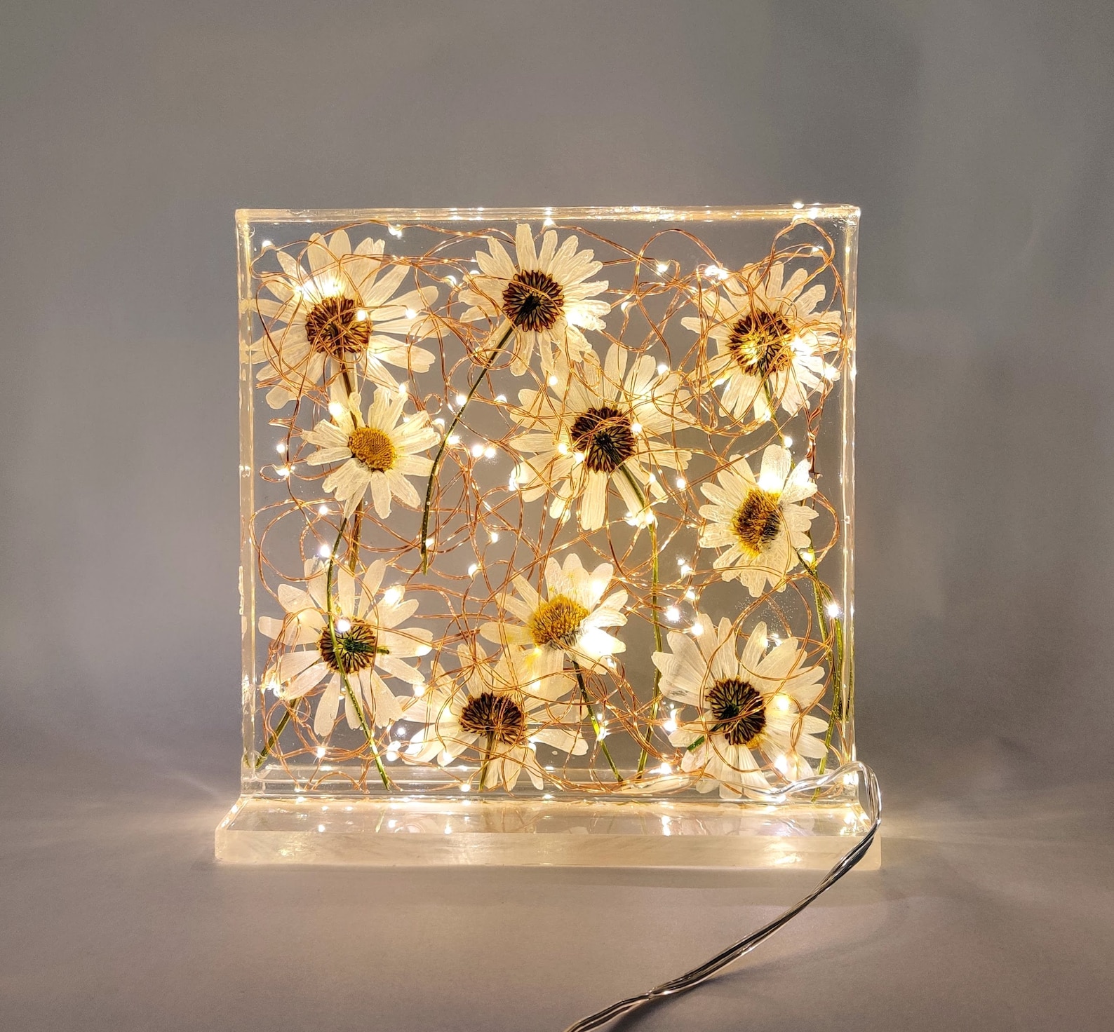 Daisies and Resin Light Sculpture Daisy Lamp Daisy Home - Etsy