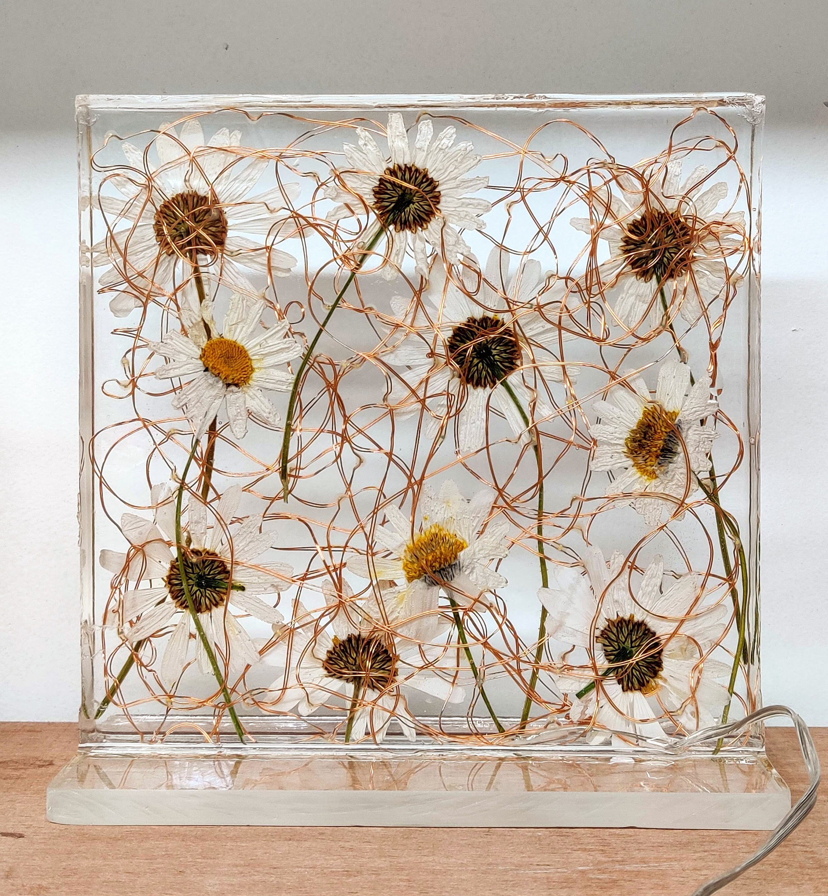 Daisies and Resin Light Sculpture Daisy Lamp Daisy Home - Etsy