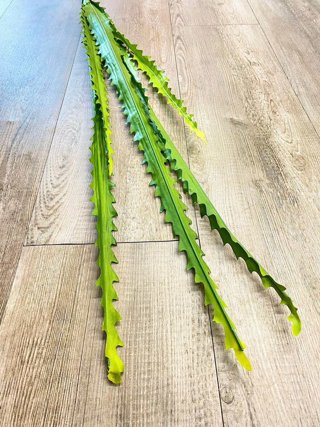 38” Green Saw Leaf Plant - Etsy