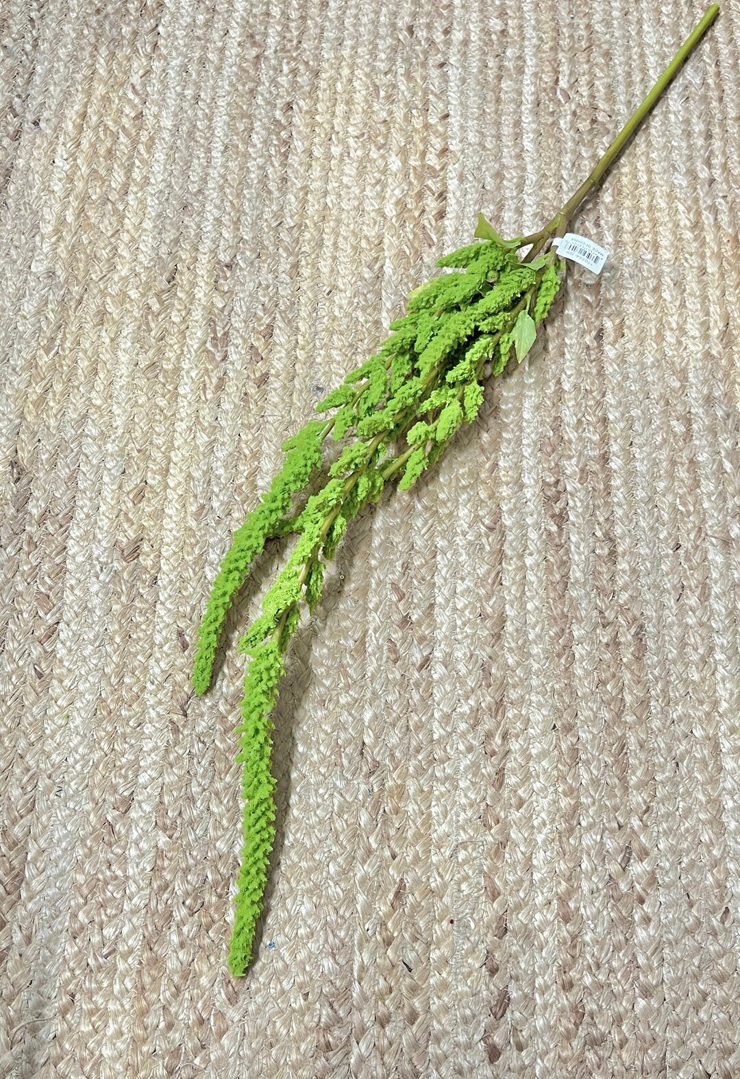 Green Amaranthus Stem 37 Inch Greenery Stem - Etsy