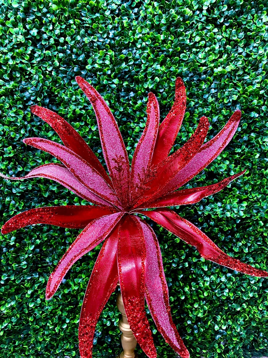 24 Inch Red Pinwheel Poinsettia - Etsy