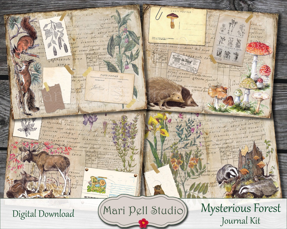 Mysterious Forest Junk Journal Kit Forest Ephemera Pack - Etsy