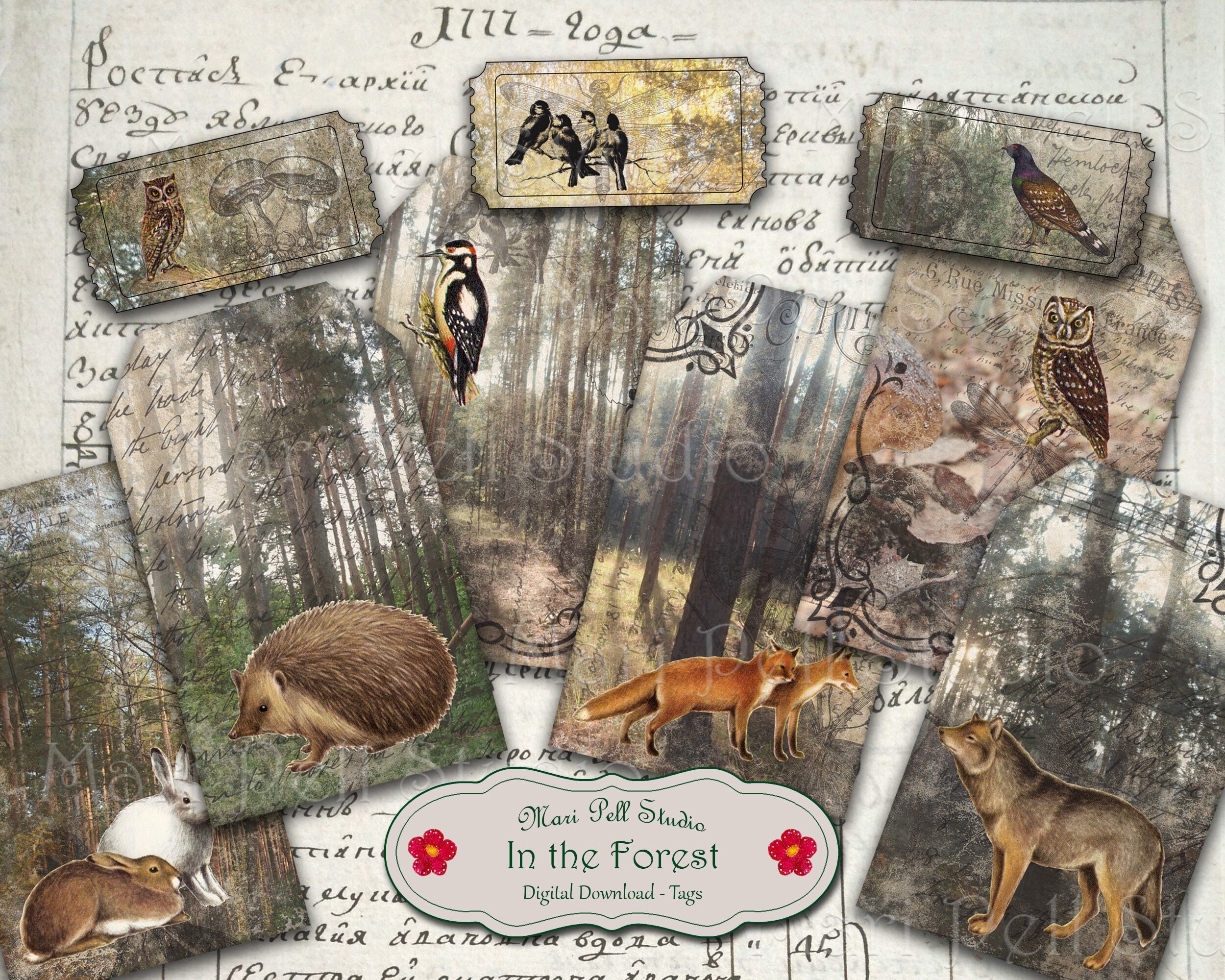 In the Forest Tags, Forest Tags, Woodland Tags, Printable Tags ...