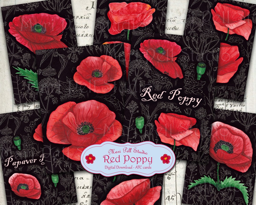 Red Poppy Card Set Printable, Papaver ACEO, Poppy ATC 2.5x3.5, Flower ...