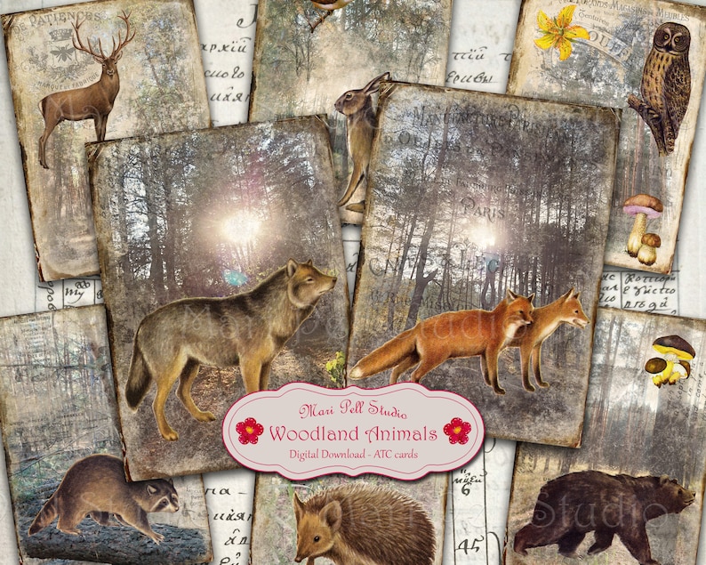 Woodland Animals Card Set, ATC Cards, Forest Printable Kit 2.5”x3.5 ...