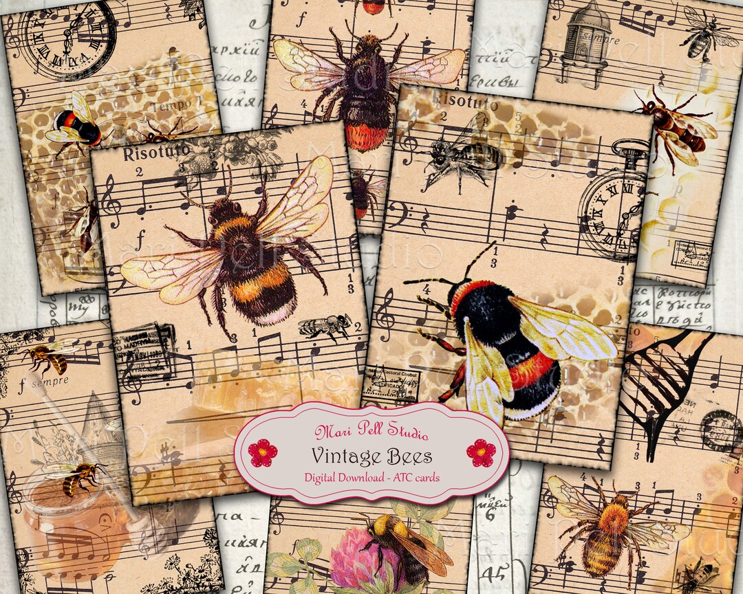 Bee Card Set Printable, Honey ACEO, Bee ATC 2.5x3.5, Insect Digital ...