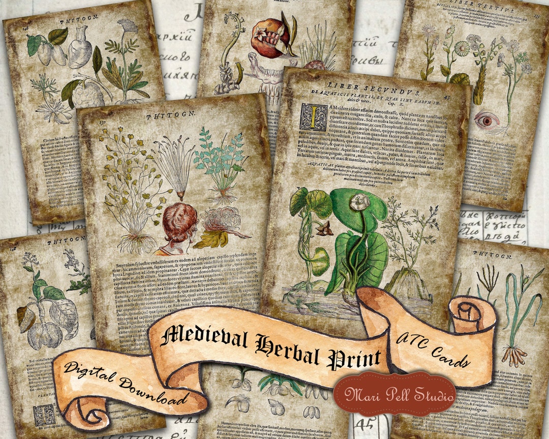 Medieval Herbal, Postcards, Middle Ages, Plant Identification, ATC ...