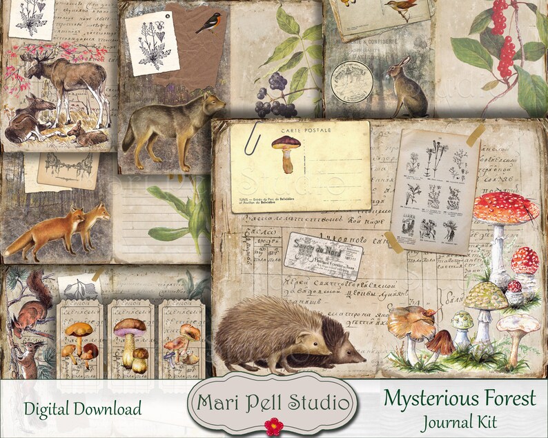 Mysterious Forest Junk Journal Kit Forest Ephemera Pack - Etsy