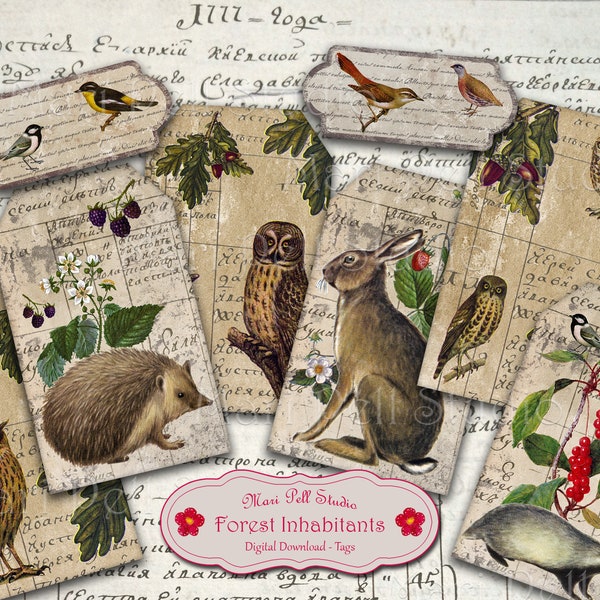 In the Land of Elsewhere - Etsy