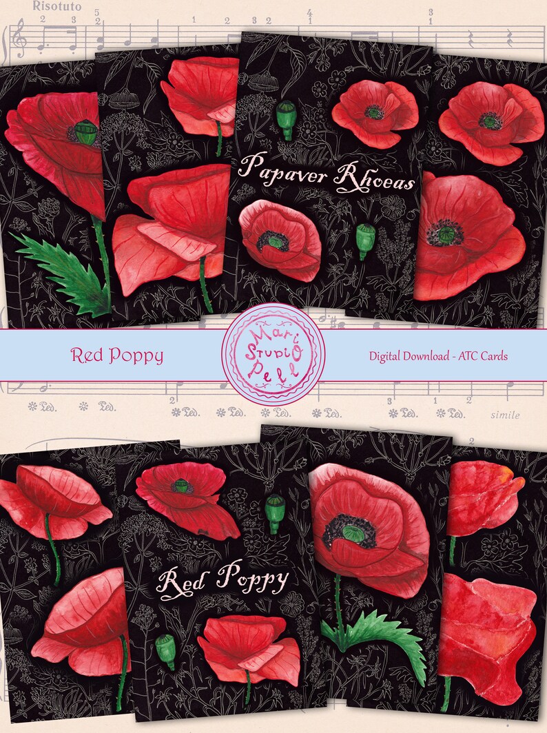 Red Poppy Card Set Printable, Papaver ACEO, Poppy ATC 2.5x3.5, Flower ...