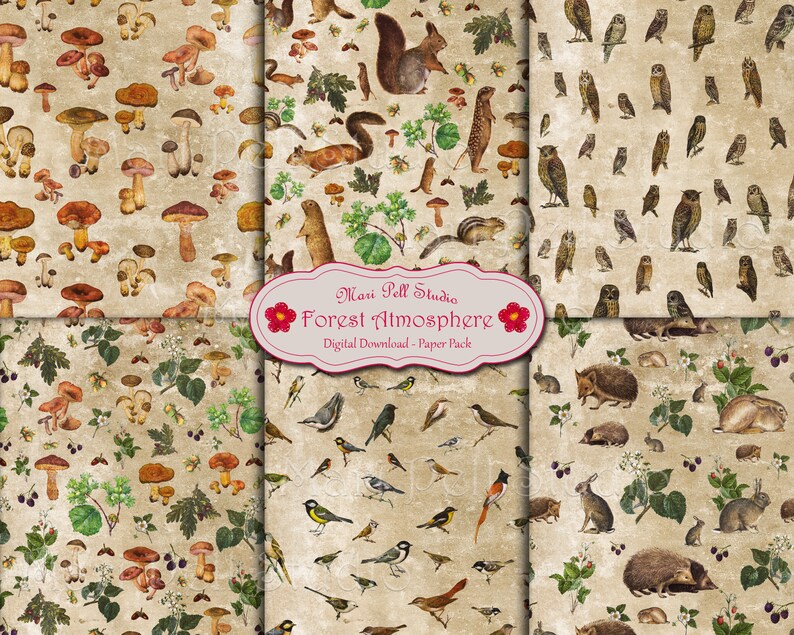 Forest Atmosphere Paper Pack, Printable Paper, Woodland Digital Paper ...