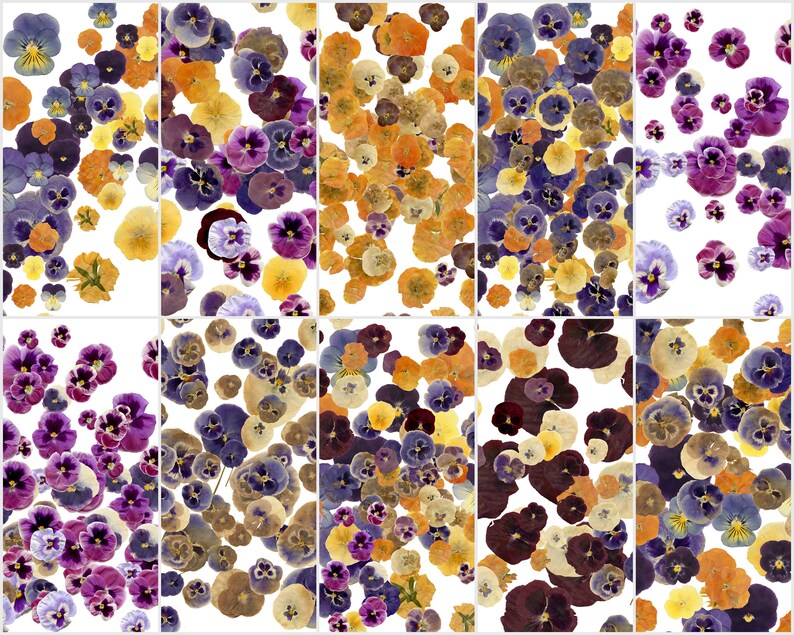 Printable Pansies Decoupage Paper Pansy Flowers Digital Paper - Etsy