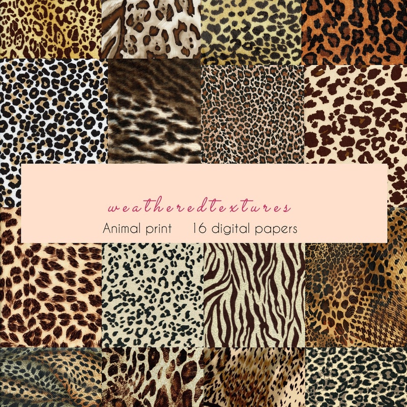 Animal Print Paper - Etsy
