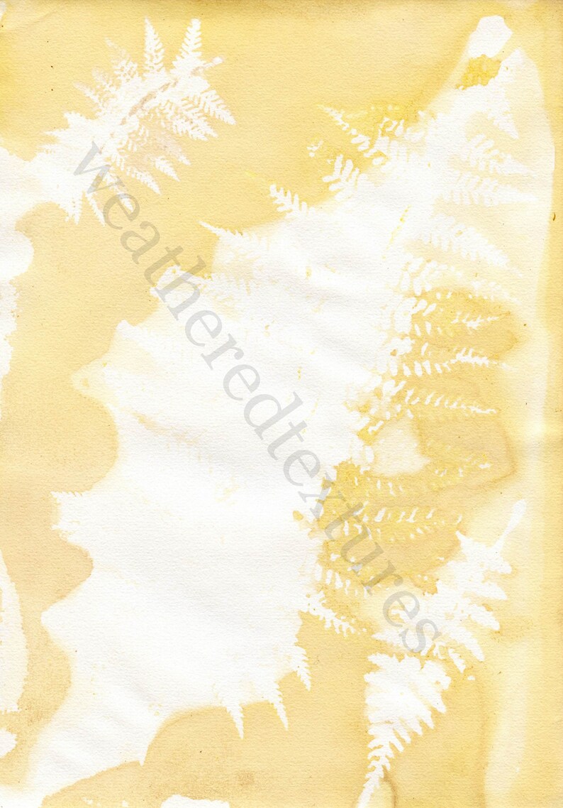 Dyed Paper Pack Onion Dyed Paper Stained Paper Mixed Media - Etsy