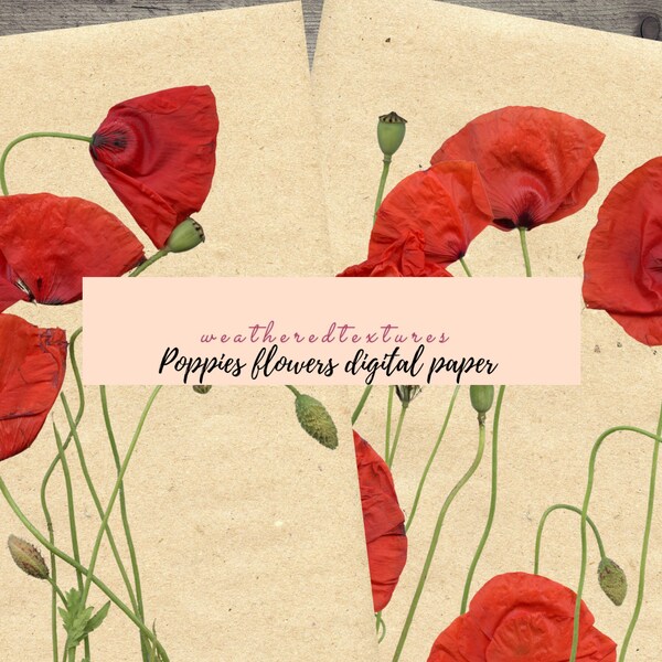 Poppy Print - Etsy