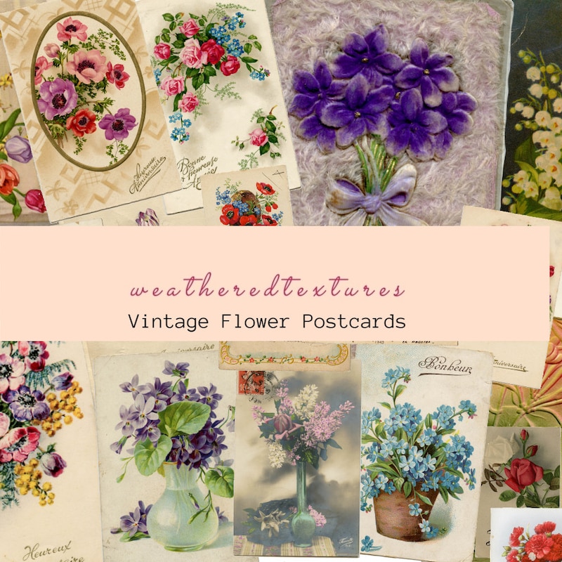 French Postcards - Etsy