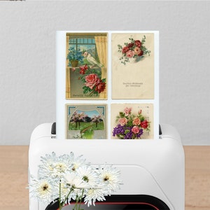 Vintage Flower Postcards Set 20 Digital Download Vintage Ephemera ...