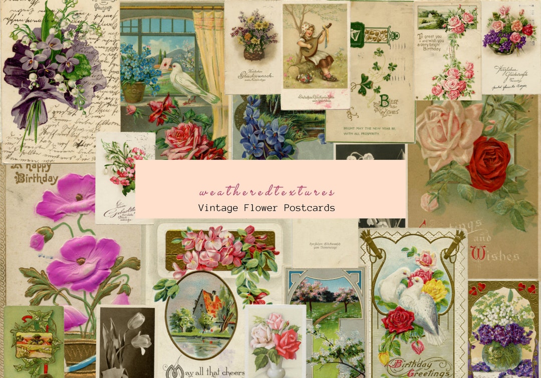 Vintage Flower Postcards Set 20 Digital Download Vintage Ephemera ...