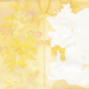 Dyed Paper Pack, Onion Dyed Paper, Stained Paper, Mixed Media Art ...