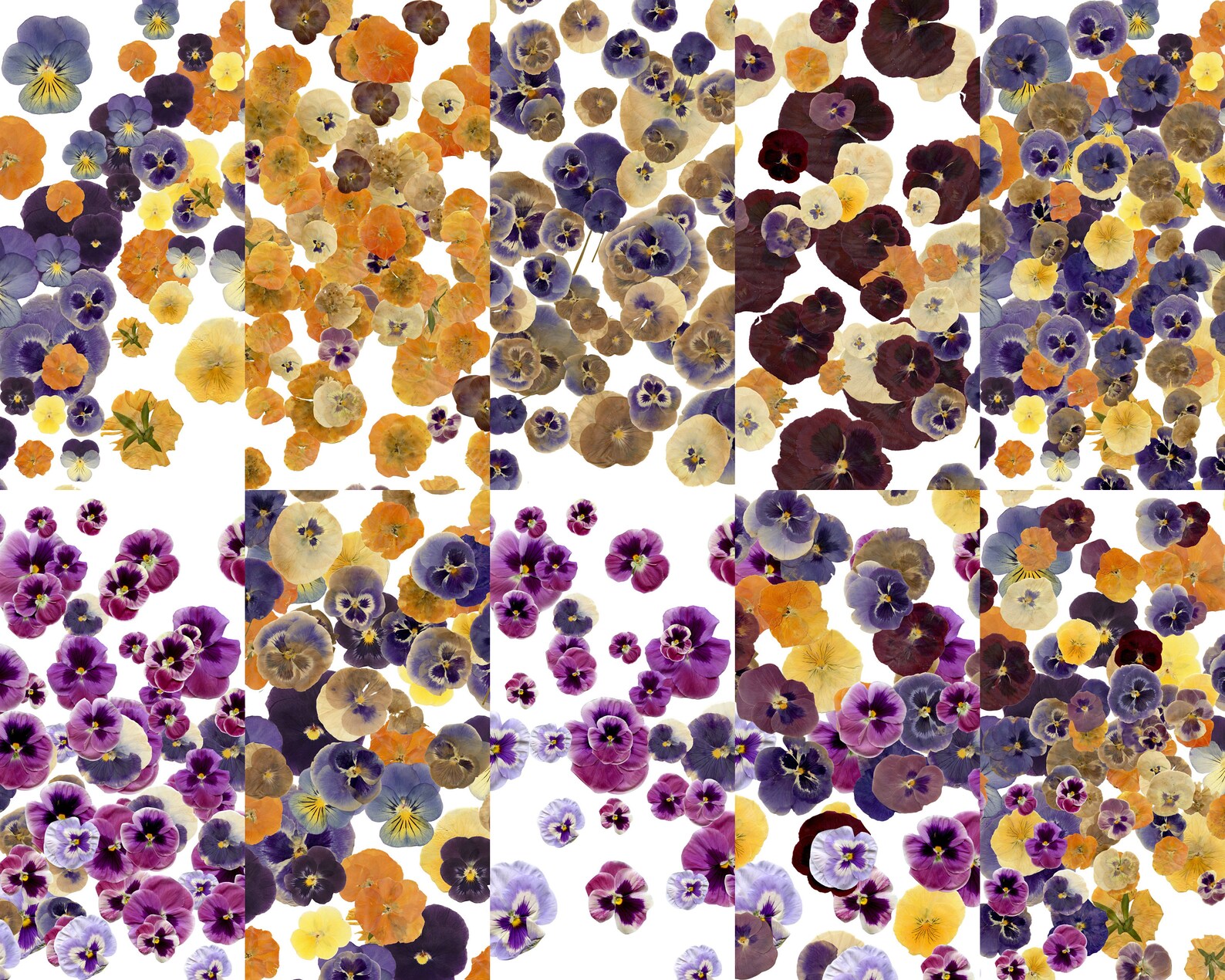 Printable Pansies Decoupage Paper Pansy Flowers Digital Paper - Etsy