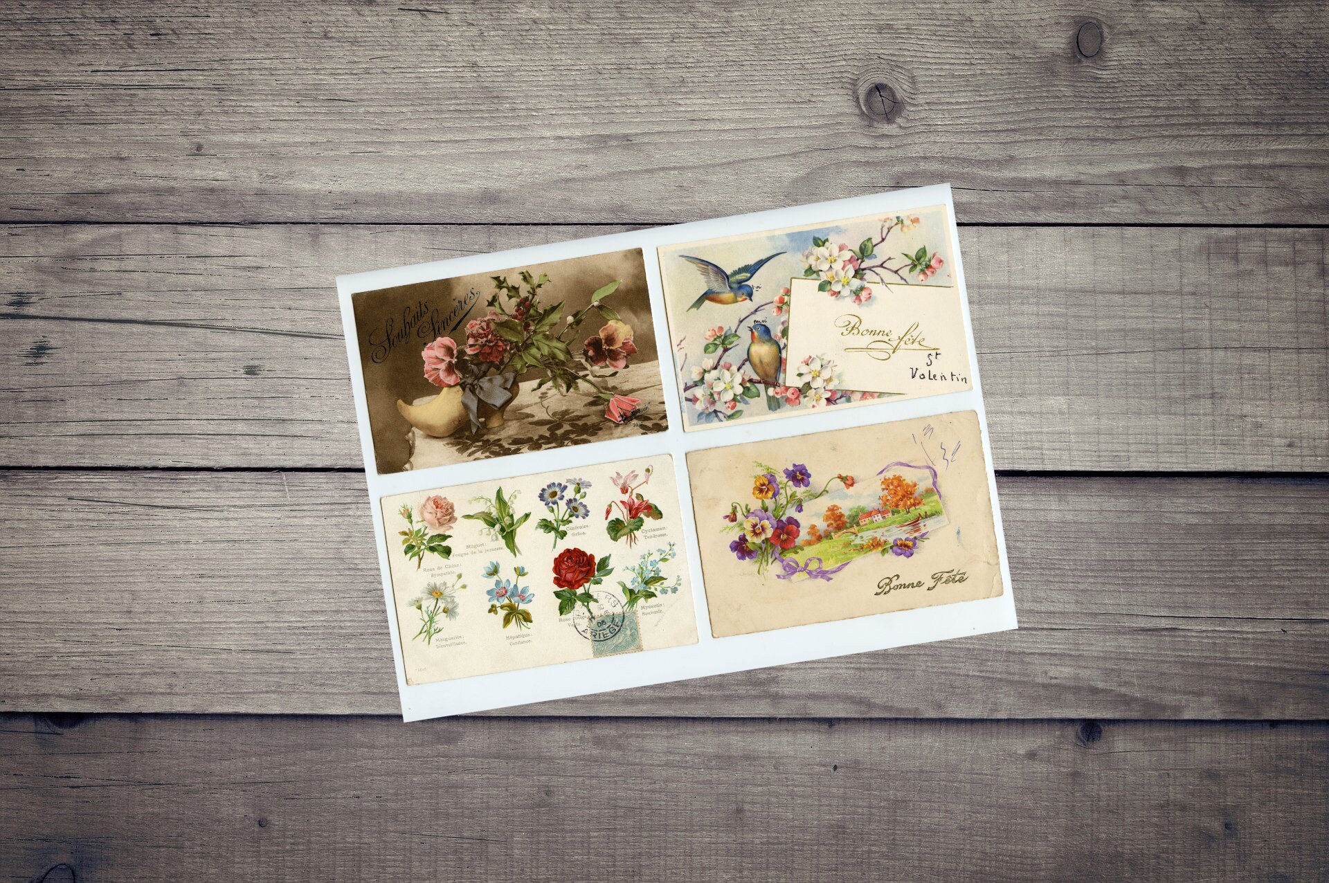 Vintage Postcards French Postcards 20 Floral Postcards - Etsy