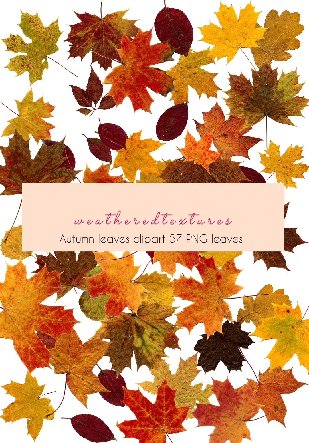 Fall Clipart, Fall Leaves, Clip Art, Leaf Clipart, 57 Autumn Leaves ...
