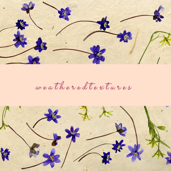 Scanned Flowers - Etsy