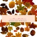 Autumn Leaves, Fall Clipart, Fall PNG, 48 PNG Leaves Clipart, Oak ...