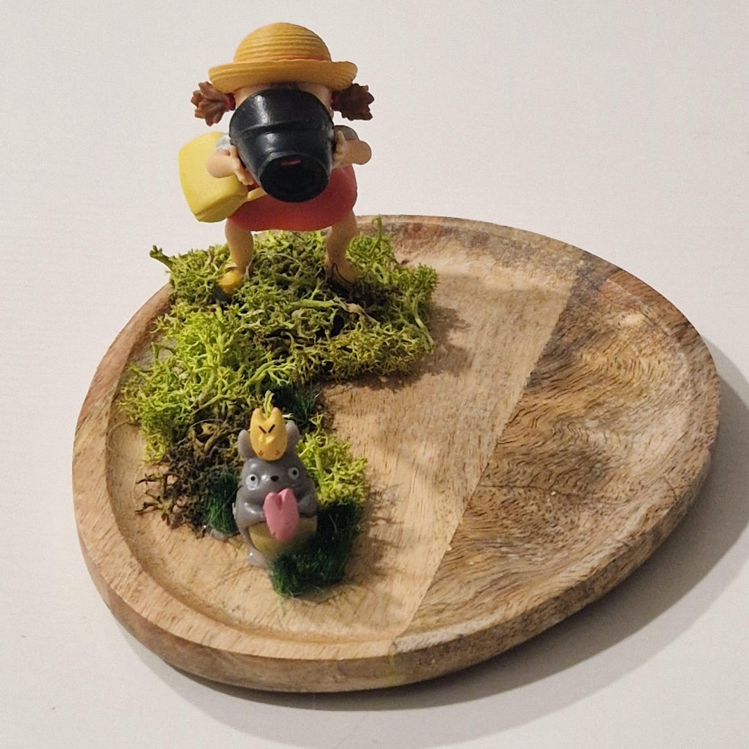 Studio Ghibli Jewelry Box - Etsy