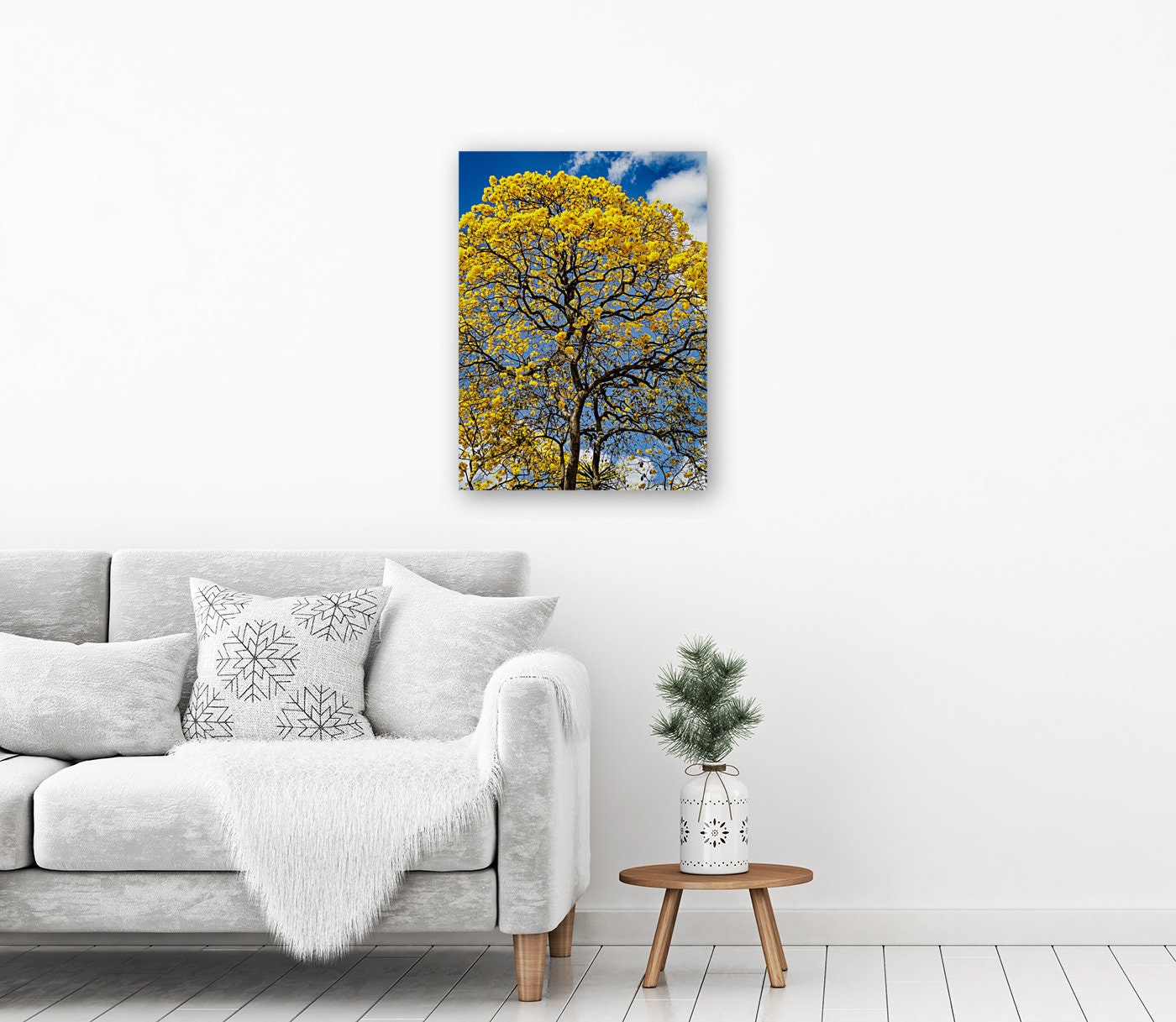 Araguaney Tree From Parque Del Este Print: Venezuela National Tree ...