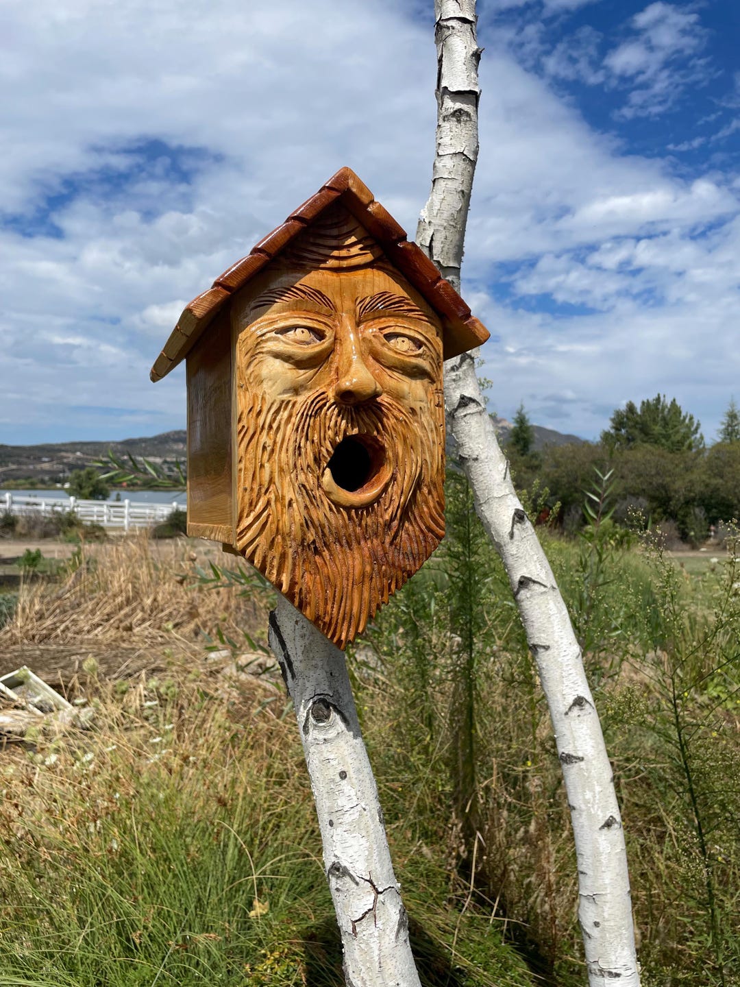 Birdhouse - Hand Carved Wood Spirit Bird House Garden Art - Etsy