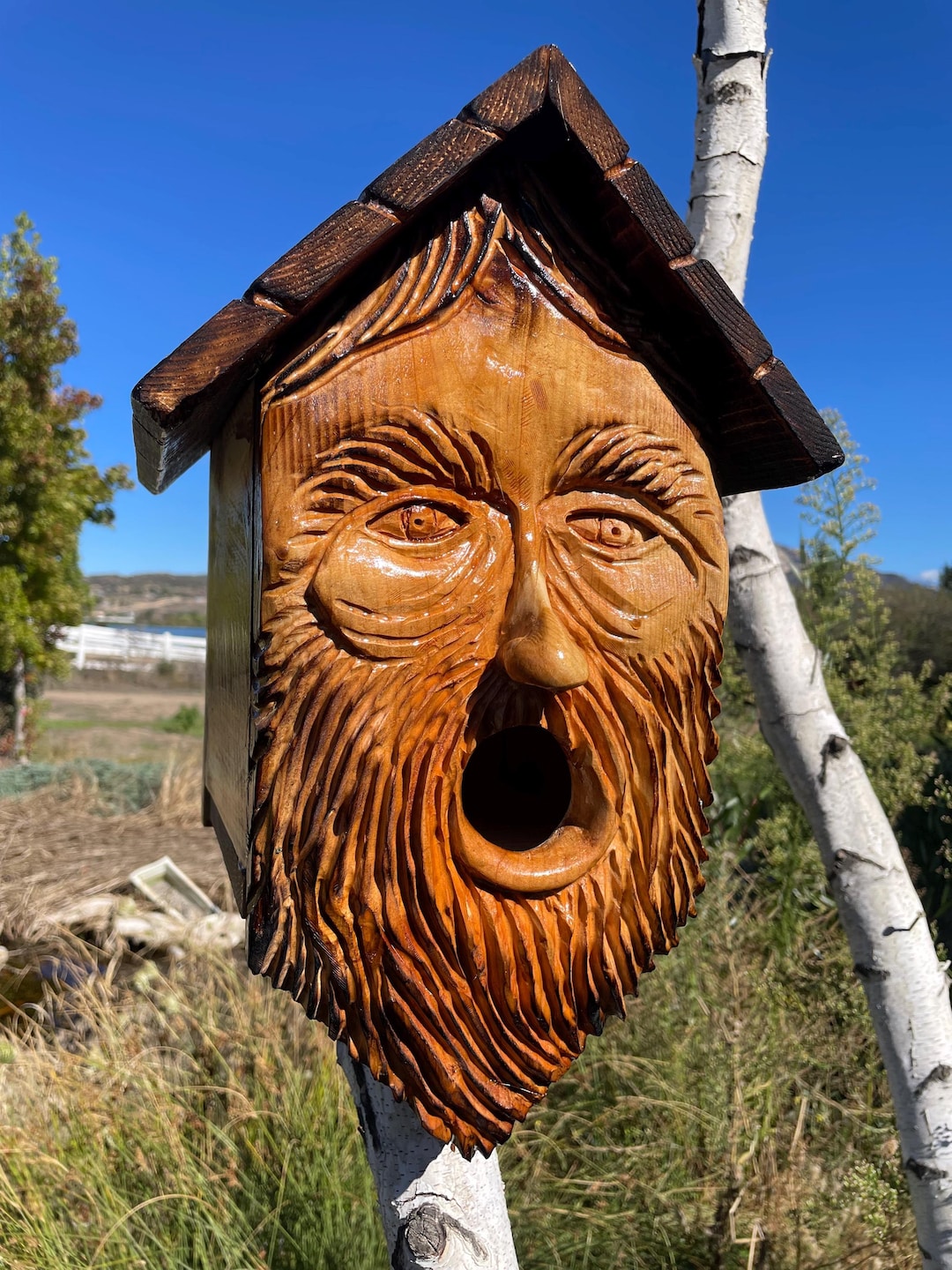 Hand-carved Cedar Wood Spirit Birdhouse: Shou Sugi Ban Rustic Decor - Etsy