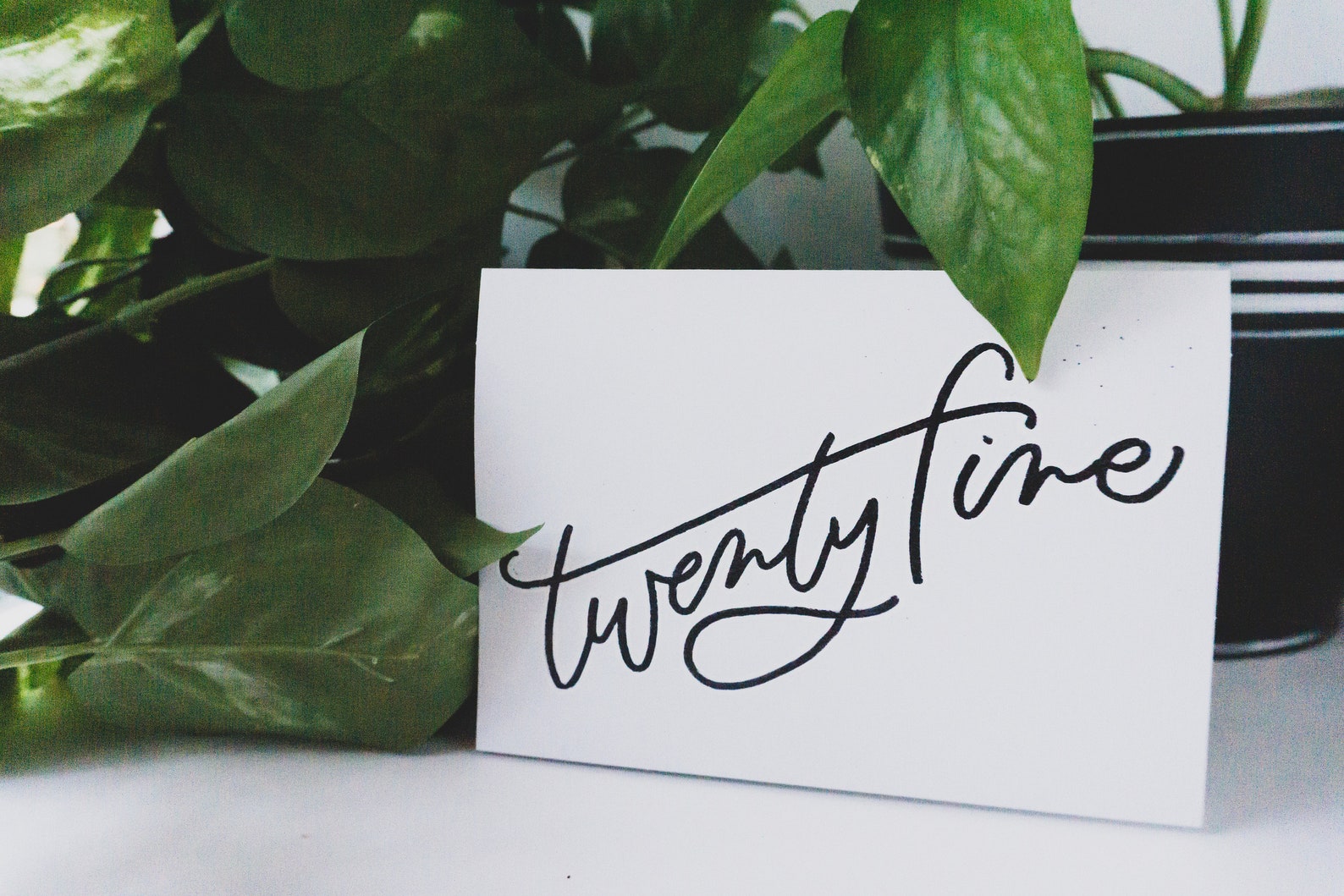 Twenty Fine Card Birthday Gift 29 Gift Twenty-nine Bday - Etsy