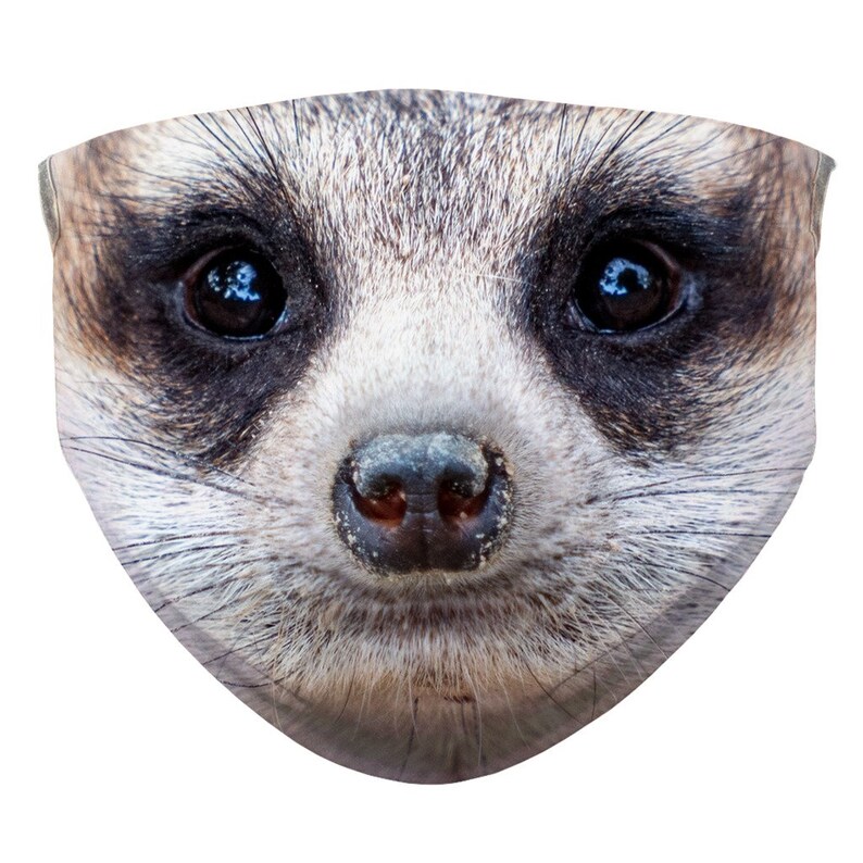 Meerkat Face Meerkats Wild Animal Africa Zoo | Etsy