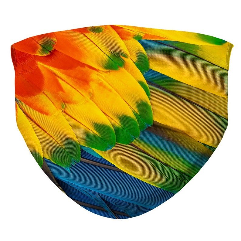 Parrot Feather Pattern Wild Animal Africa Bird Zoo - Etsy