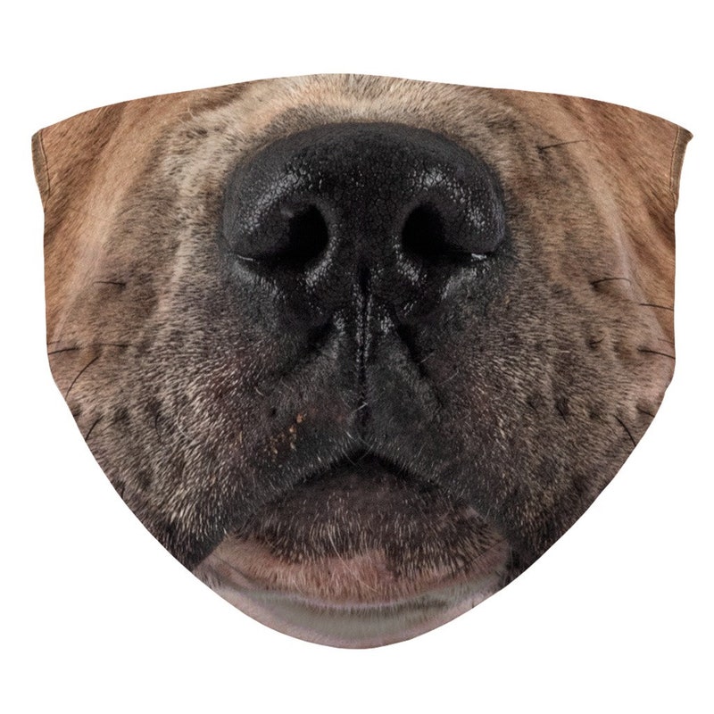 Pitbull Face - Etsy