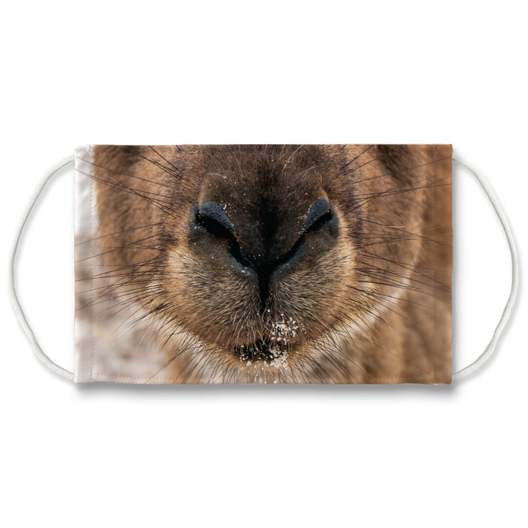 Kangaroo Face Kangaroos Wild Animal Australia Zoo Sublimation Face Mask ...