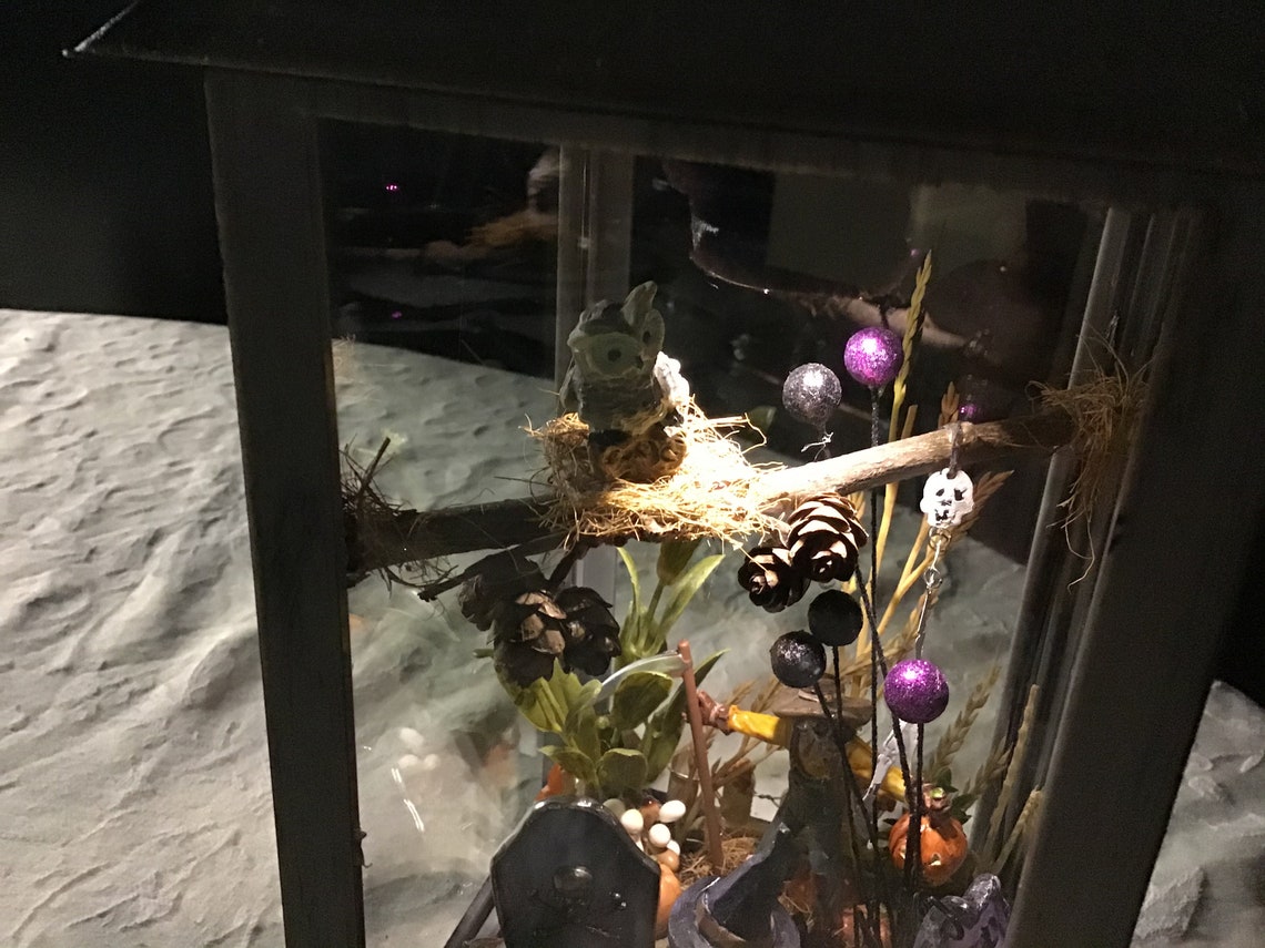 Halloween Lantern - Etsy