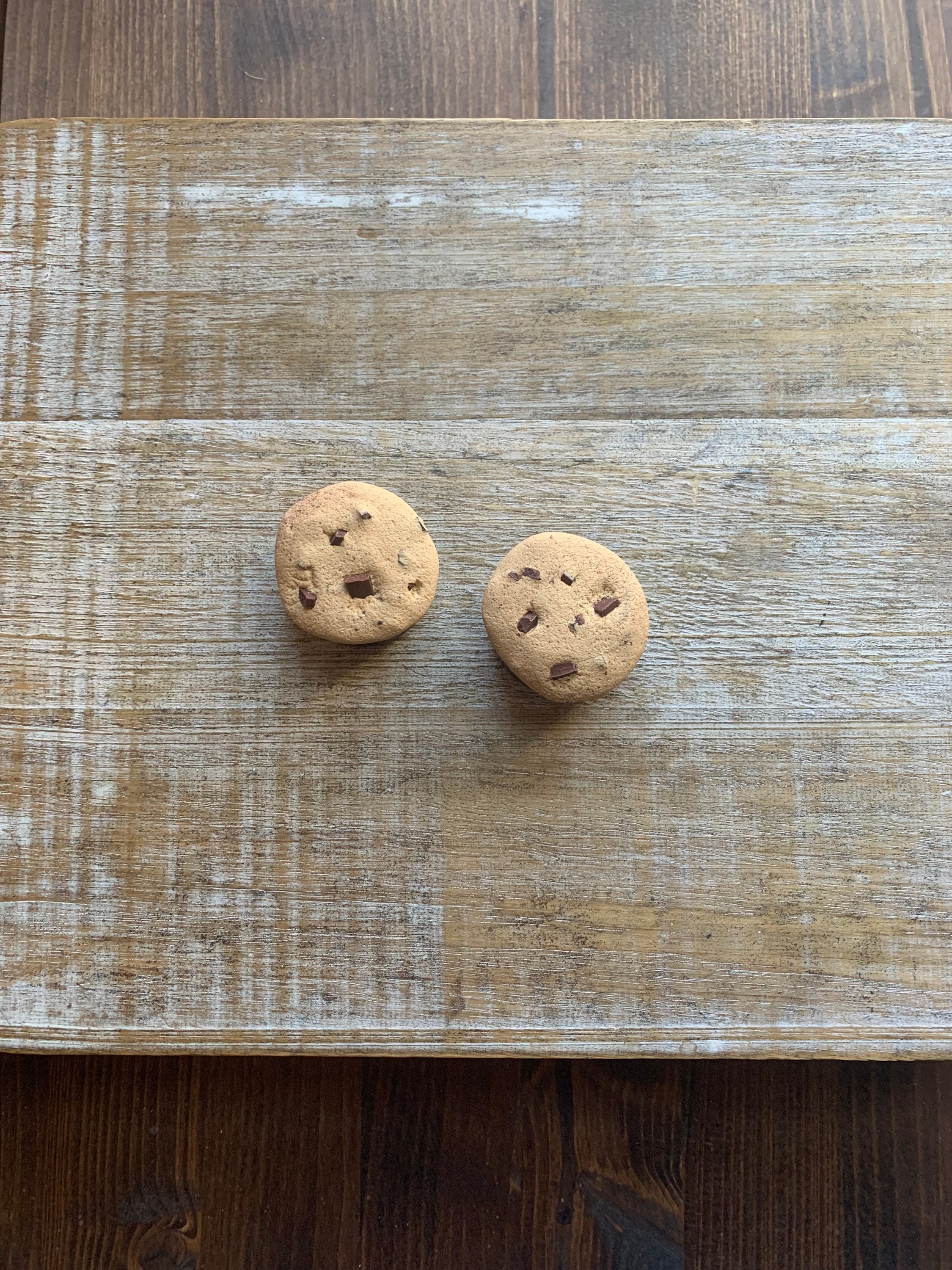 Chocolate Chip 1 1/4 Cookie Plugs Chocolate Chip Cookie Gauges Cookie ...