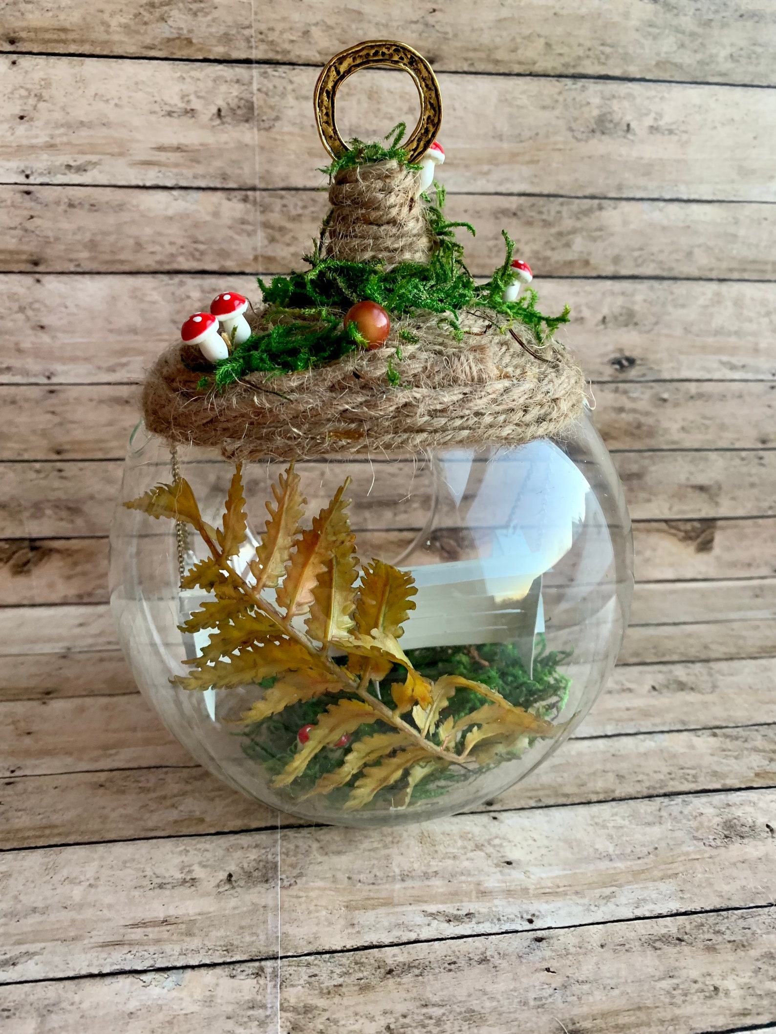 Cottagecore Diorama Terrarium Amanita Muscaria Oddity Curiosities ...