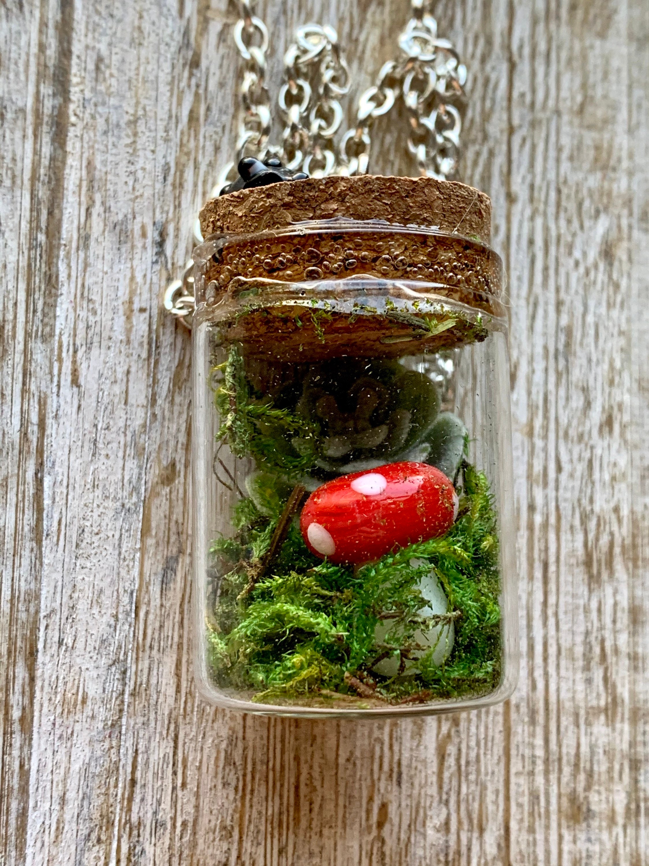 Succulent Ladybug Terrarium Miniature Mushroom Glass Dome - Etsy