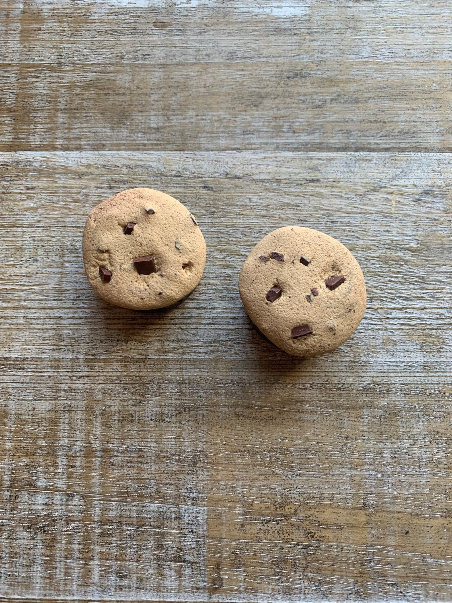 Chocolate Chip 1 1/4 Cookie Plugs Chocolate Chip Cookie Gauges Cookie ...