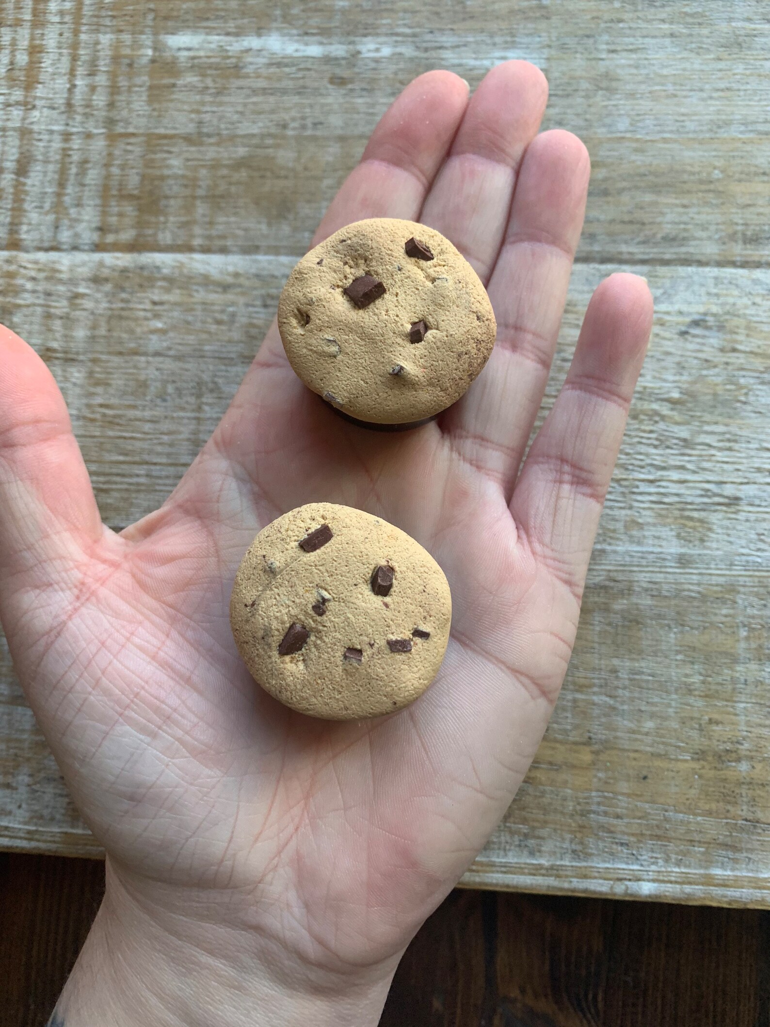 Chocolate Chip 1 1/4 Cookie Plugs Chocolate Chip Cookie Gauges Cookie ...