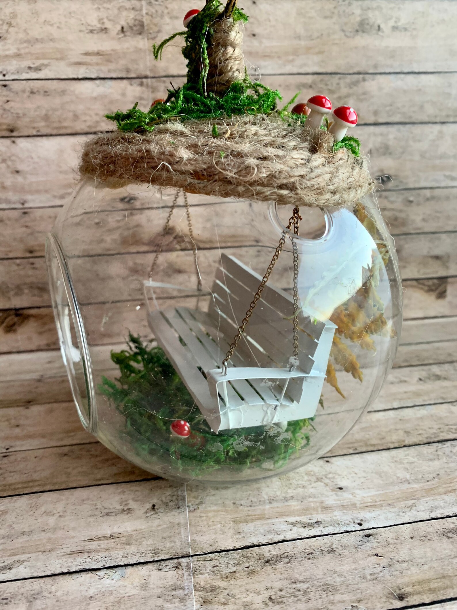 Cottagecore Diorama Terrarium Amanita Muscaria Oddity Curiosities ...